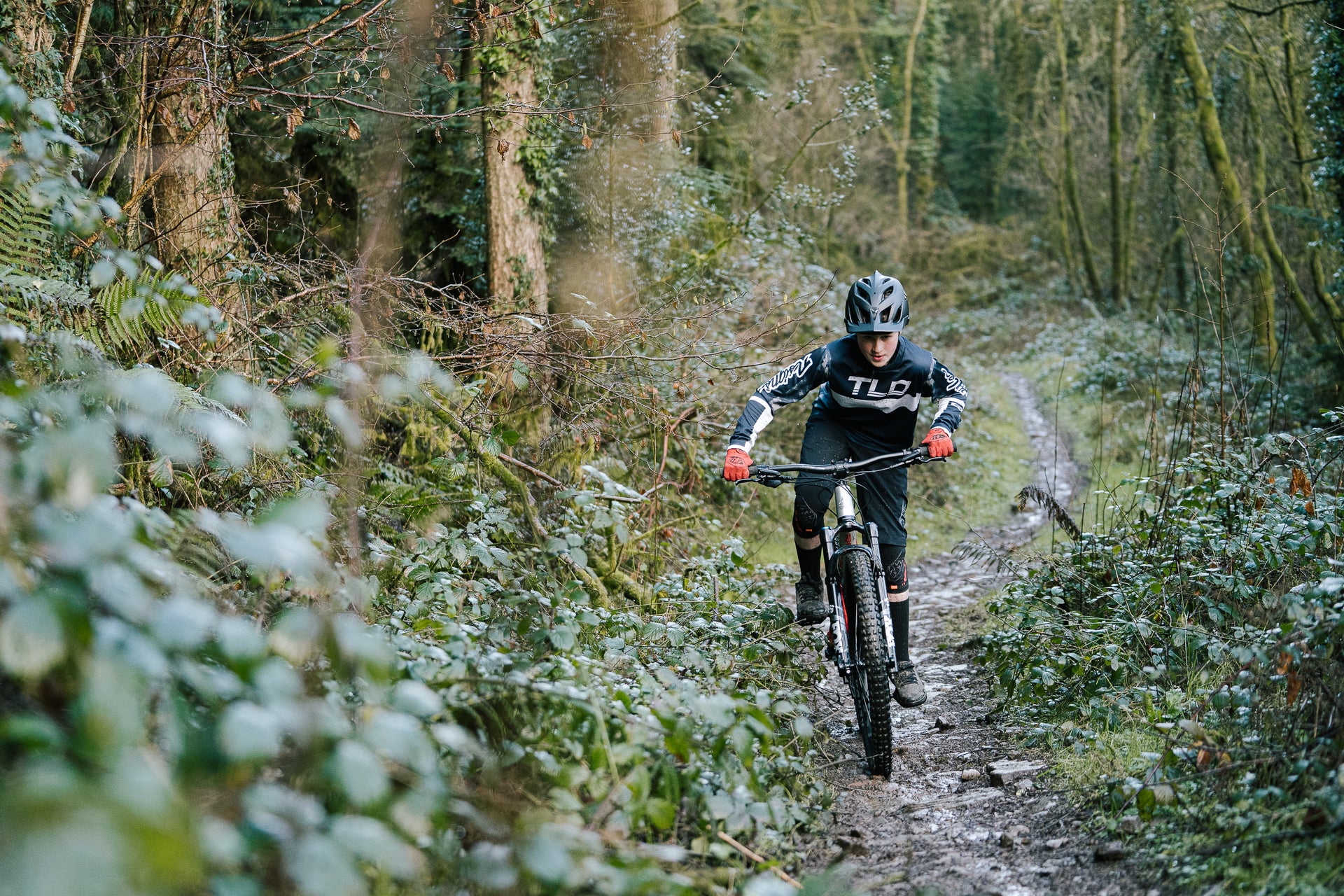 SCHOLASTIC DISCOUNT PROGRAM | INTENSE – INTENSE LLC